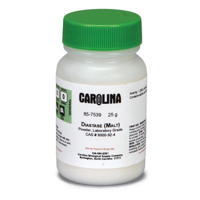 Diastase Powder, Laboratory Grade, 25 g | Carolina Biological Supply