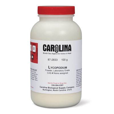 Lycopodium Powder | Carolina.com