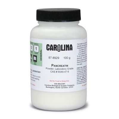Pancreatin, Powder, Laboratory Grade, 100 g | Carolina Biological Supply