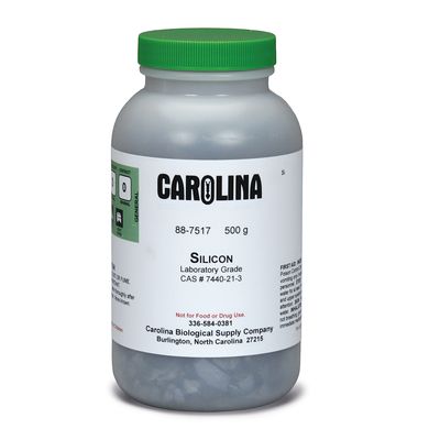 Silicon, Lump, Laboratory Grade, 500 g | Carolina Biological Supply