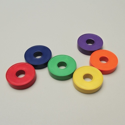 Ring Magnets, Assorted Colors, Pack of 6 | Carolina Biological Supply