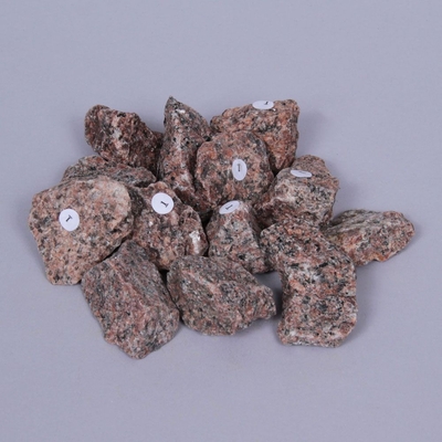 Granite Specimen (labeled "1"), Pack of 16 | Carolina Biological Supply