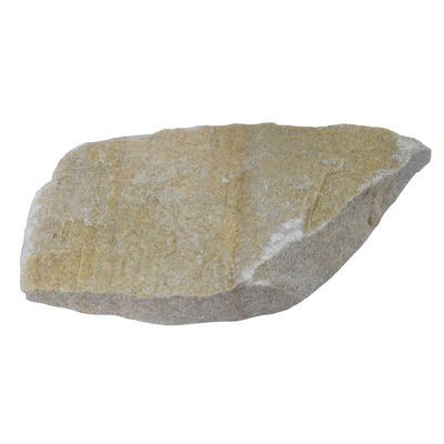 White Sandstone Specimen, Hand Sample | Carolina Biological Supply