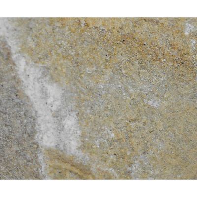White Sandstone Specimen, Hand Sample | Carolina Biological Supply