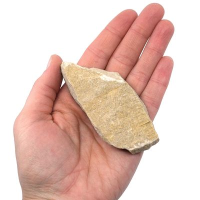 White Sandstone Specimen, Hand Sample | Carolina Biological Supply