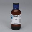 (M)SDS - Phenol, 88% | Carolina.com