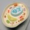 Altay® Animal Cell Mitosis Model Set | Carolina Biological Supply