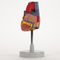Altay® Human Heart Model | Carolina Biological Supply