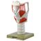 Somso Human Functional Larynx Model | Carolina Biological Supply