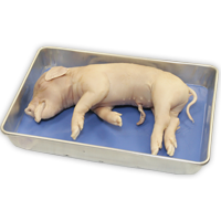 Limited-Time Offers on Science Materials and Supplies