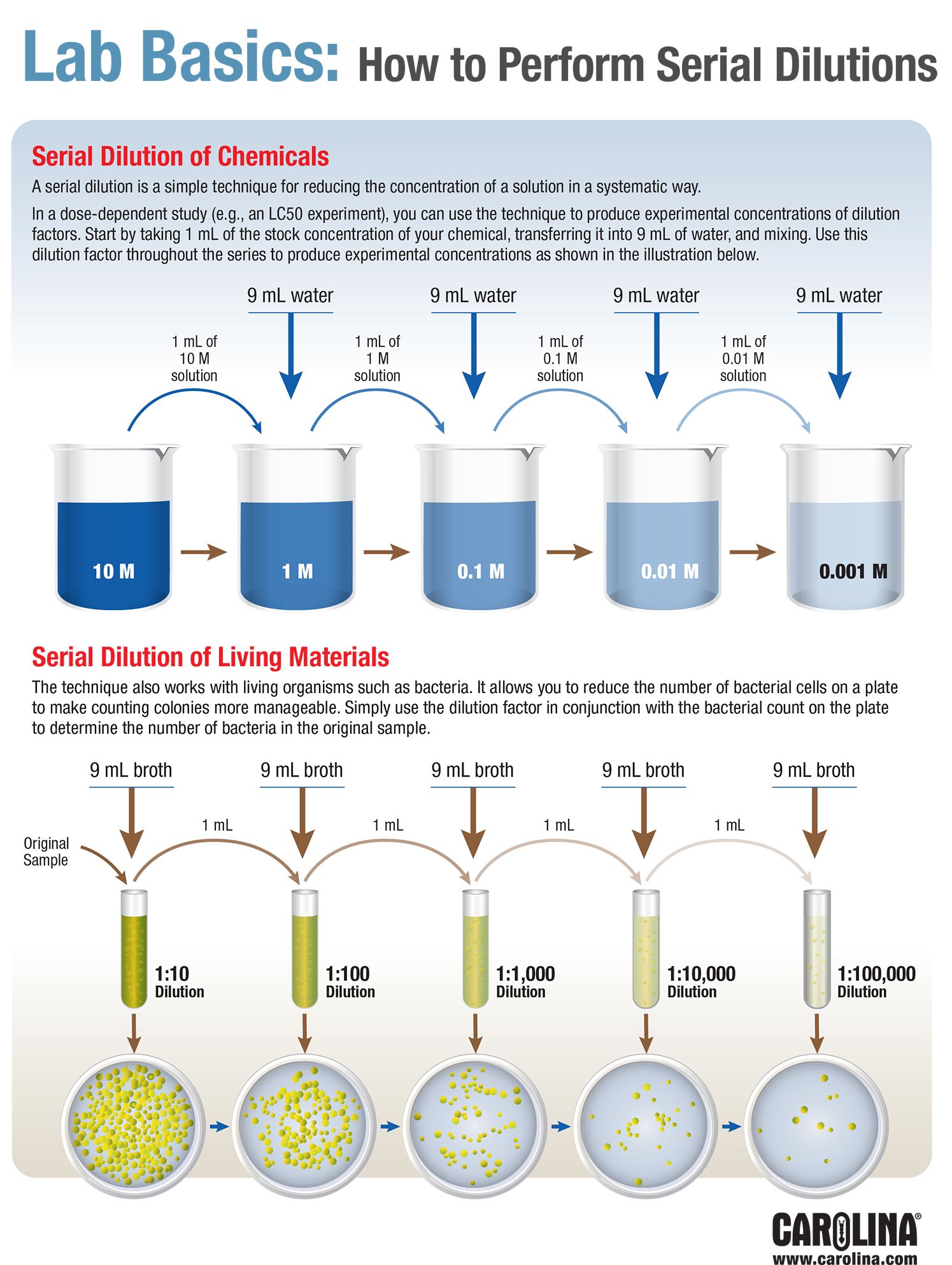 Infographic Lab Basics How To Perform Serial Dilutions Carolina