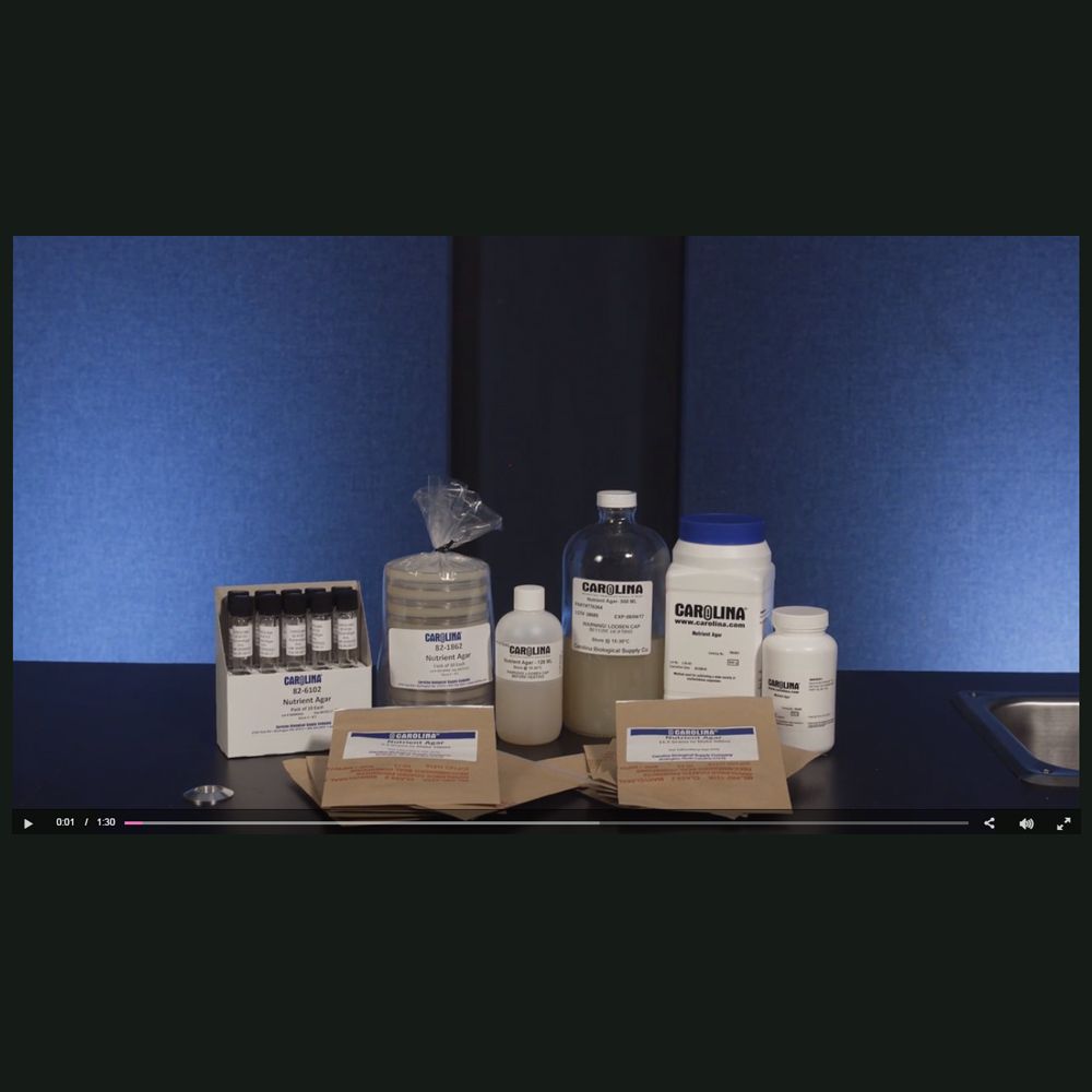 Carolina's Media Options Video | Carolina Biological Supply