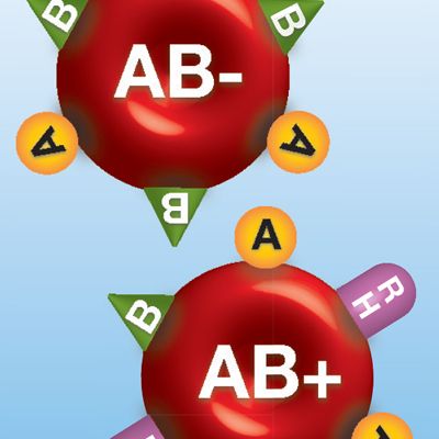 Infographic: What's Your Blood Type? | Carolina Biological Supply