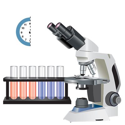 Infographic: Save Teaching Time with Carolina Lab Kits | Carolina ...