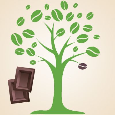 Infographic - Chocolate: From the Tree to Your Tongue | Carolina ...