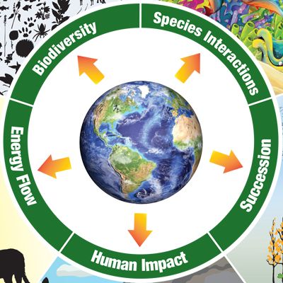 Infographic - Ecology: The Study of the Place We Live | Carolina ...