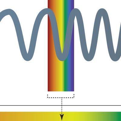 Infographic: What Is the Electromagnetic Spectrum? | Carolina ...