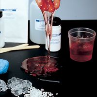 Super Water-Absorbing Polymers | Carolina Biological Supply