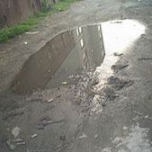 What's Up with Puddles? Plan an Experiment | Carolina Biological Supply