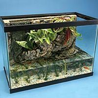 Introduce Environmental Studies with a River Tank™ | Carolina ...