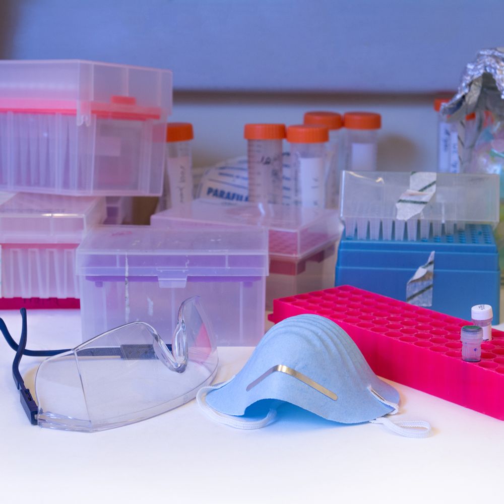 Student Biology Laboratory Safety Agreement | Carolina Biological Supply