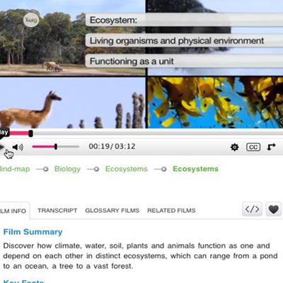 Tools and Features of Twig Videos | Carolina.com