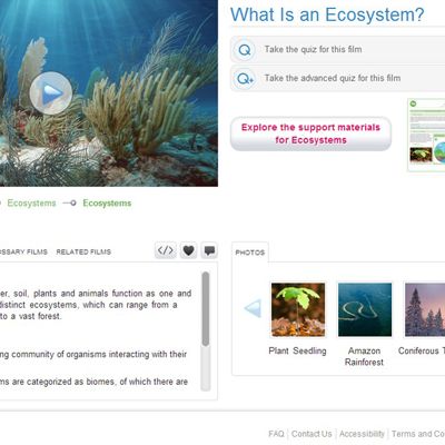 Integrating Twig Videos Into Your PowerPoint® Lessons | Carolina ...