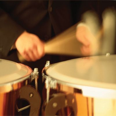 Twig Lesson Plan: What Is Sound? | Carolina Biological Supply