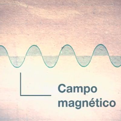 Twig (Spanish) Video: The Electromagnetic Spectrum | Carolina.com