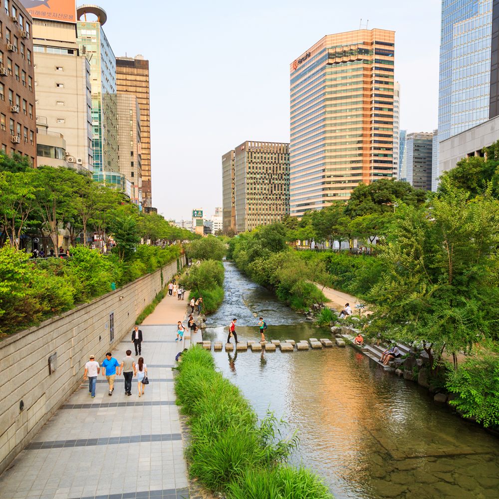 Urban Stream Syndrome | Carolina.com