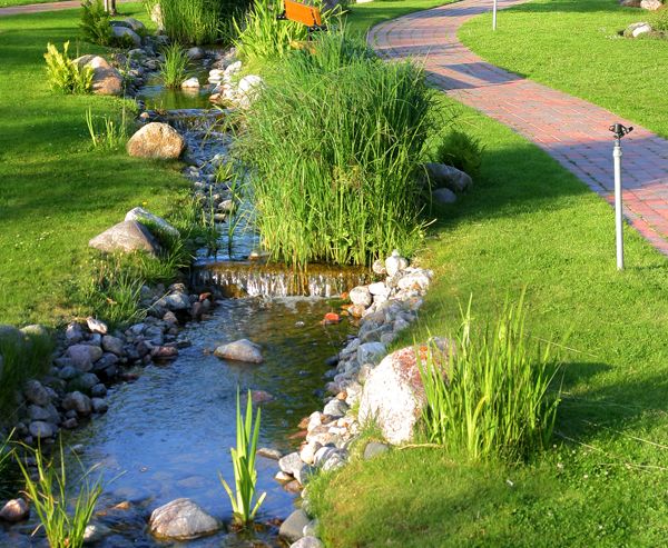 Urban Stream Syndrome | Carolina.com