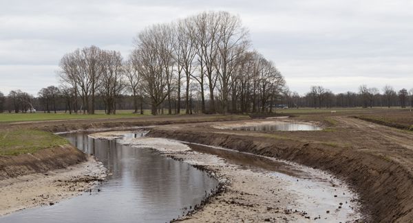 Urban Stream Syndrome | Carolina.com