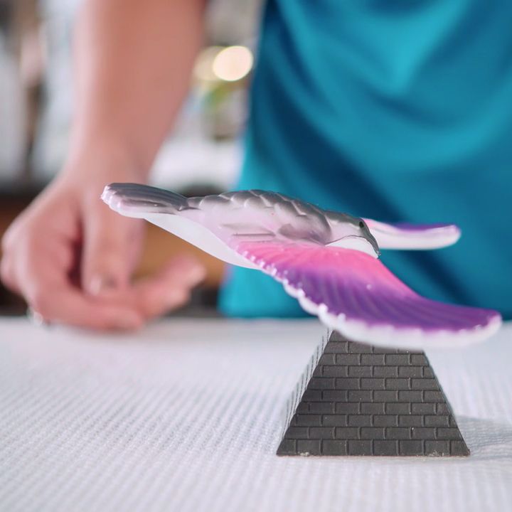 Video: Balancing Bird | Carolina Biological Supply