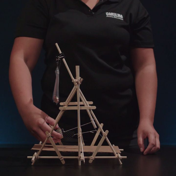 Video: How to Launch Projectiles with a Trebuchet | Carolina.com