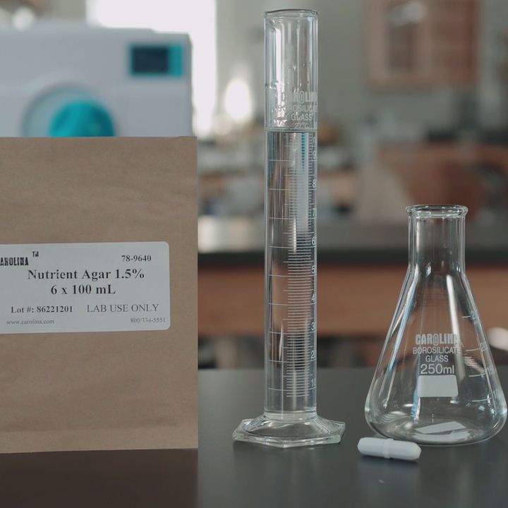 Video: How to Use Dehydrated Media | Carolina Biological Supply