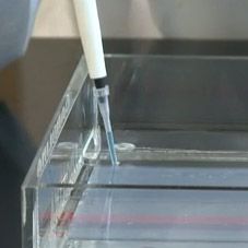 Loading a Gel for Electrophoresis | Carolina Biological Supply
