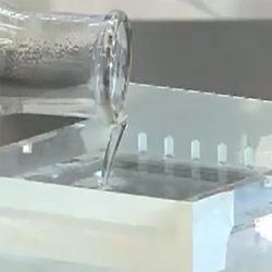 Preparing and Pouring a Gel for Electrophoresis | Carolina Biological ...