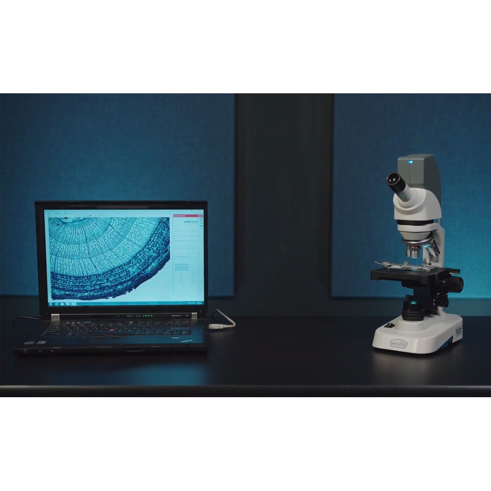 Video: Wolfe® DigiVu™ 2.0 Cordless Digital Microscope | Carolina.com