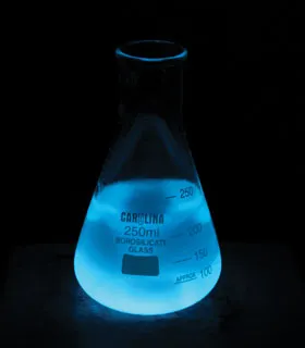 Bioluminescent Dinoflagellates