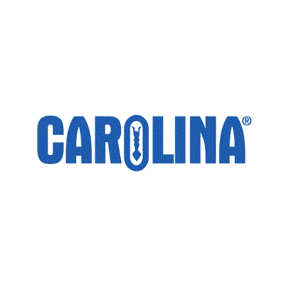 Calgiswab® Calcium Alginate Swabs, Box of 100 | Carolina Biological Supply